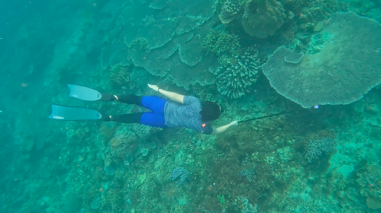 Freediving Guide for Non-Swimmers in the Philippines
